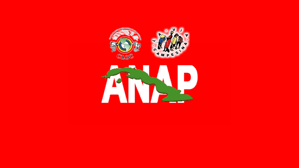 Llamado a solidaridad con Cuba y la ANAP – CLOC Vía Campesina